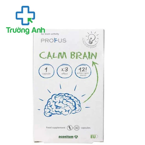 Calm Brain - Hoạt huyết dưỡng não, tăng cường tuần hoàn máu não