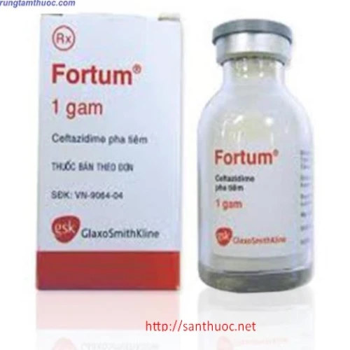 Fortum 1g - Thuốc kháng sinh hiệu quả của Anh