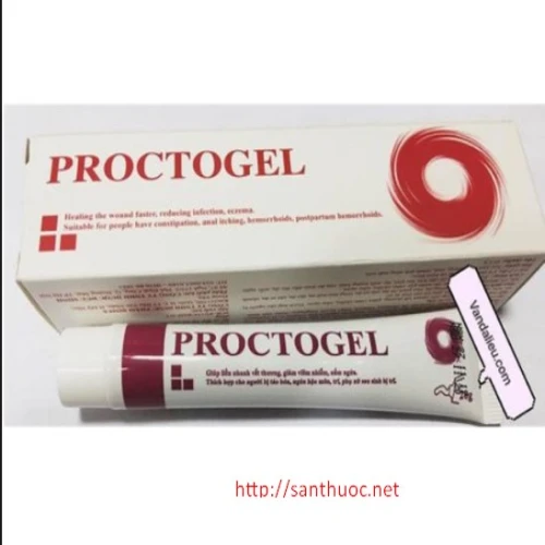 Proctogel - Thuốc chống co thắt hiệu quả