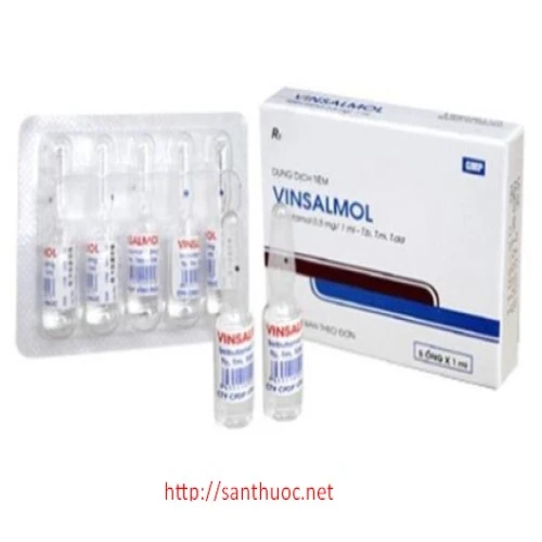 Vinsamol Inj.0.5mg/ml - Thuốc giúp điều trị các bệnh đường hô hấp hiệu quả
