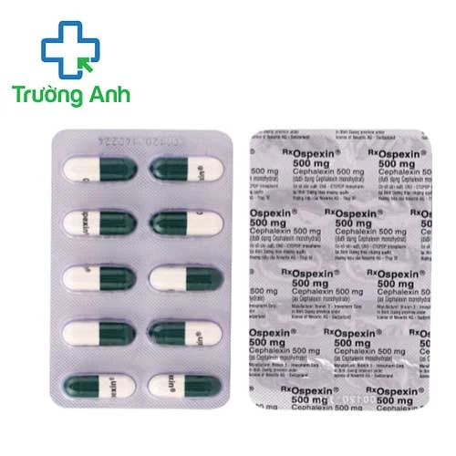 Ospexin - Thuốc điều trị nhiễm trùng hiệu quả của Imexpharm