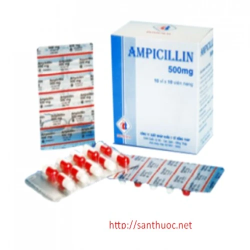 Ampicillin 500mg DMC - Thuốc điều trị nhiễm khuẩn hiệu quả